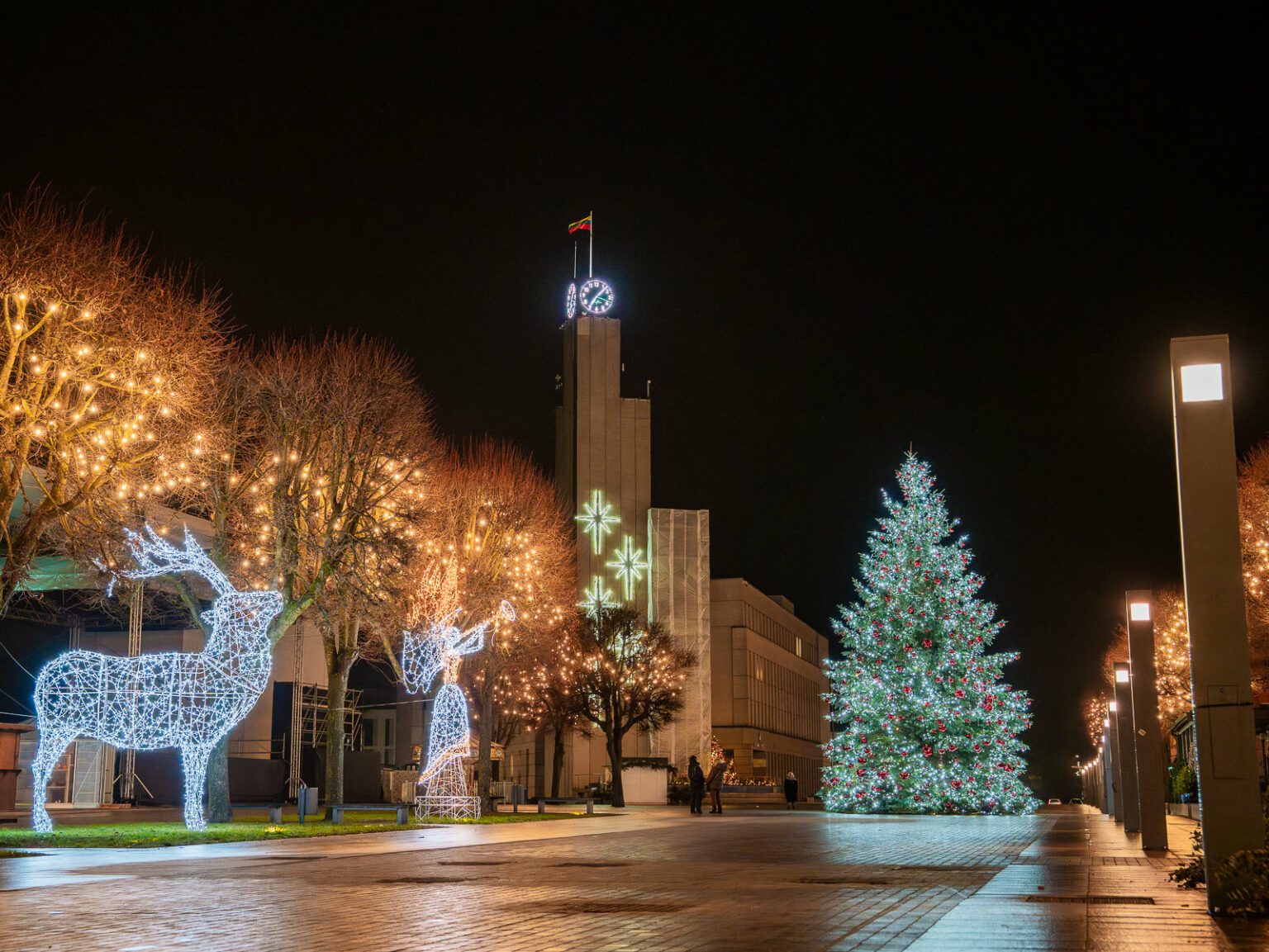 Kalėdų eglutės įžiebimas (programa) - BonoDomo